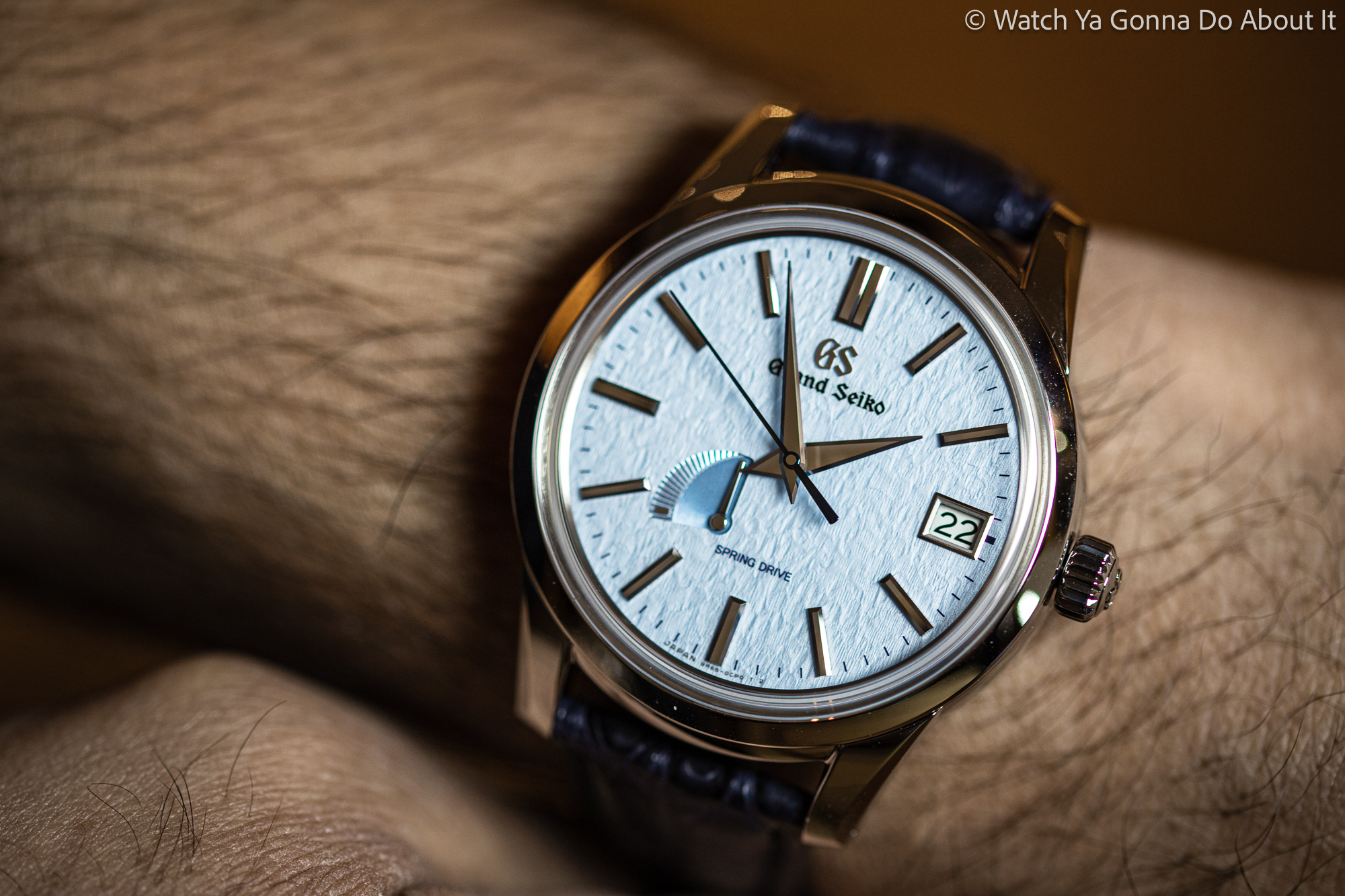 Mega Hands-On Comparison Review Of The New Grand Seiko Four Seasons ...